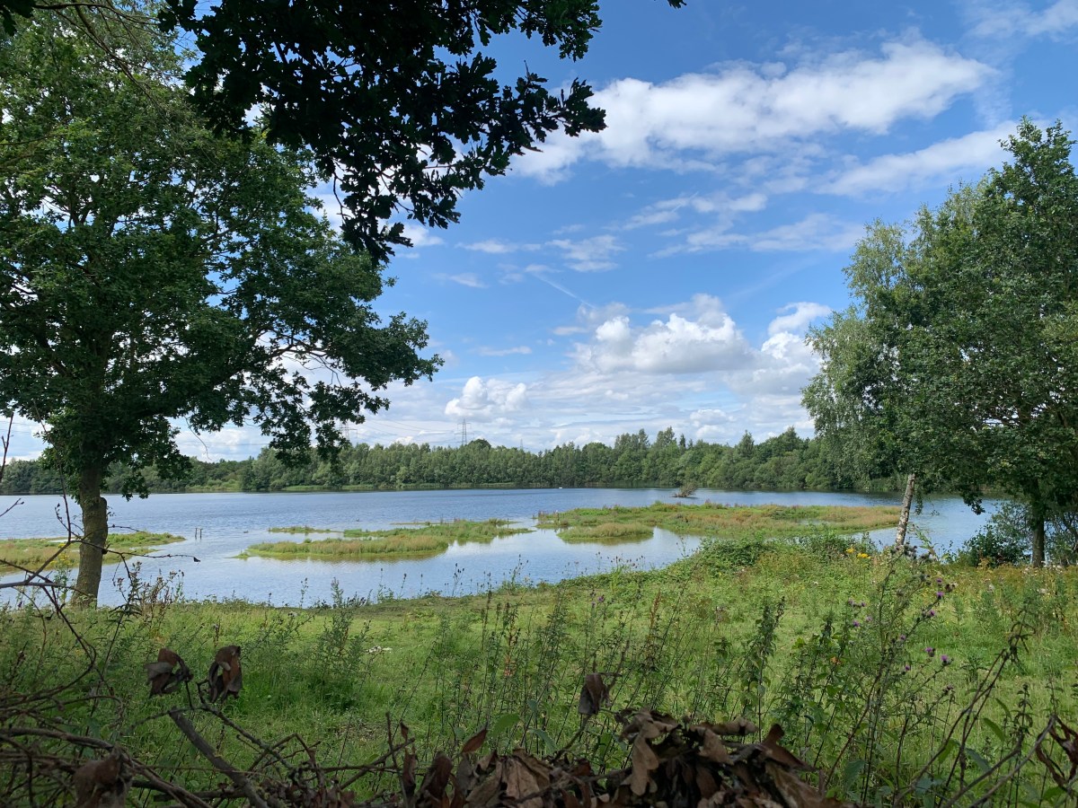 Whisby Nature Park – Adventures in Lincolnshire